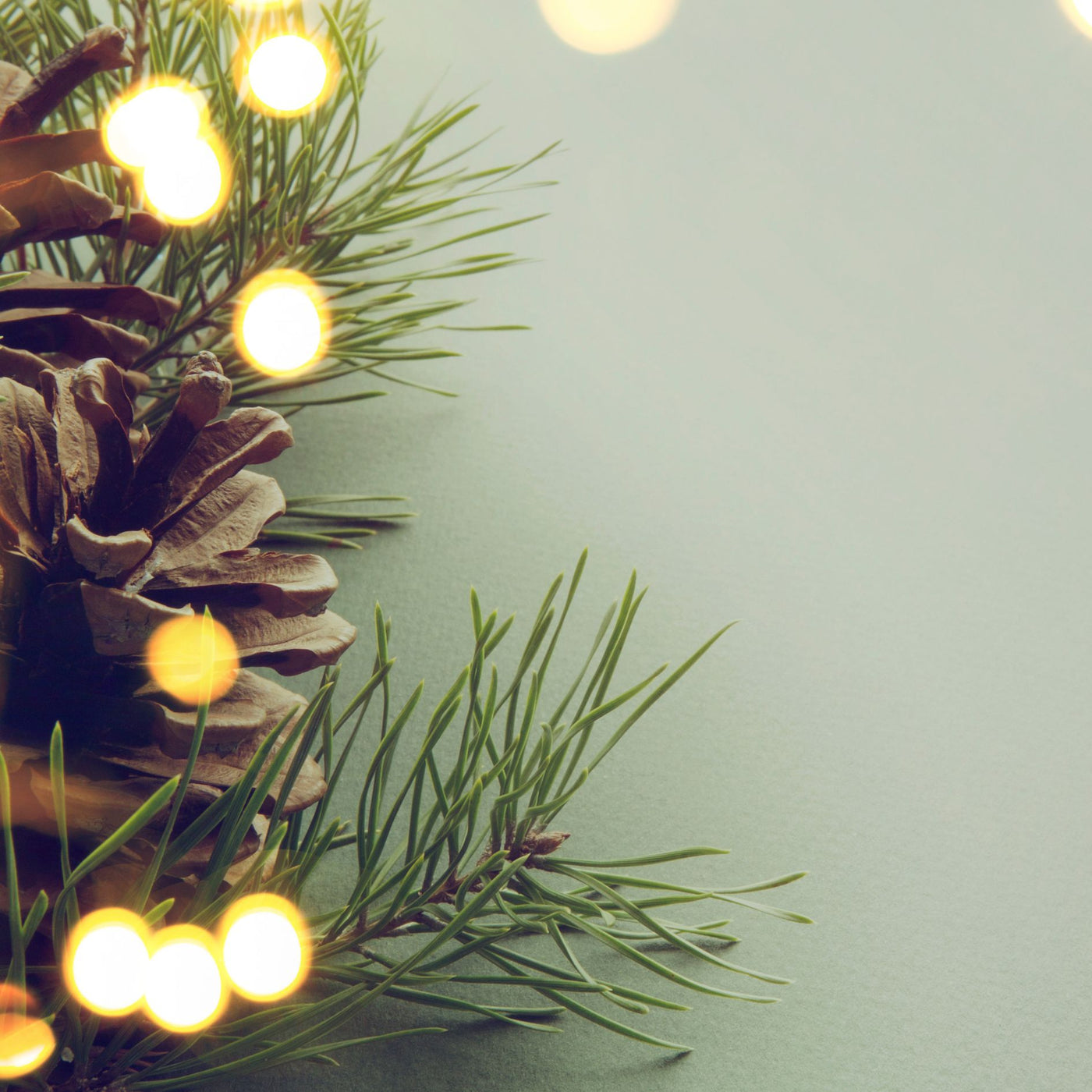 CHRISTMAS – Page 2 – Lime Tree Design