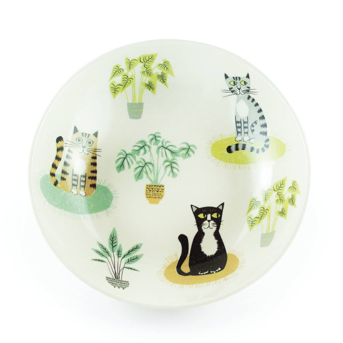 Handmade Ceramic Cat Pasta Bowl – Lime Tree Design