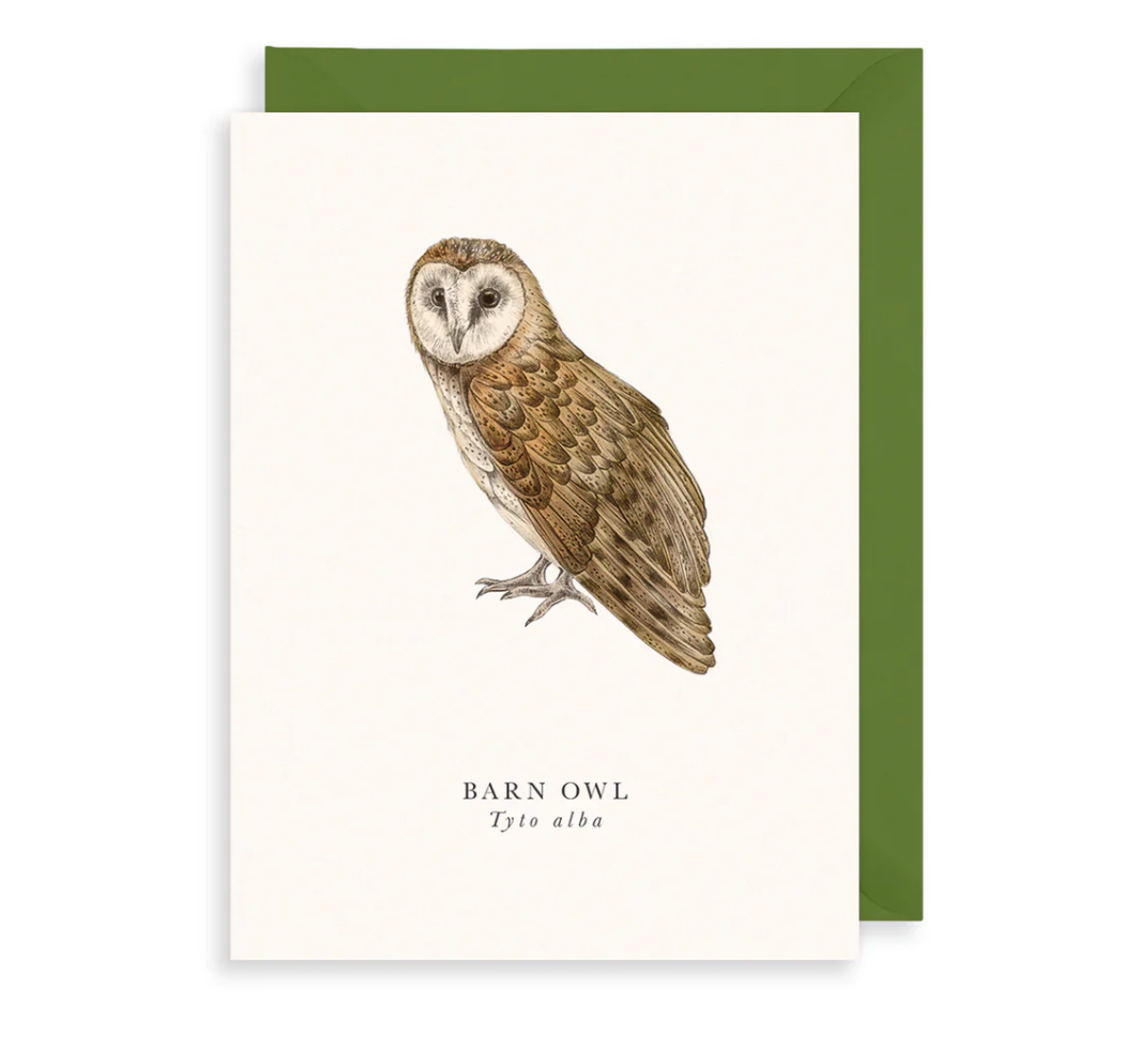 Barn Owl Greeting Card – Lime Tree Design